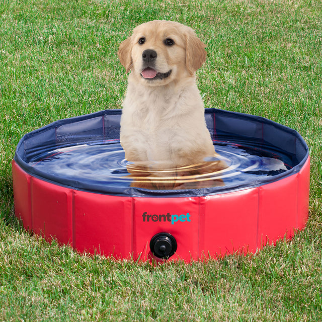 Pet Pool | Folding Dog Pool with Drain Plug for All Breeds ...